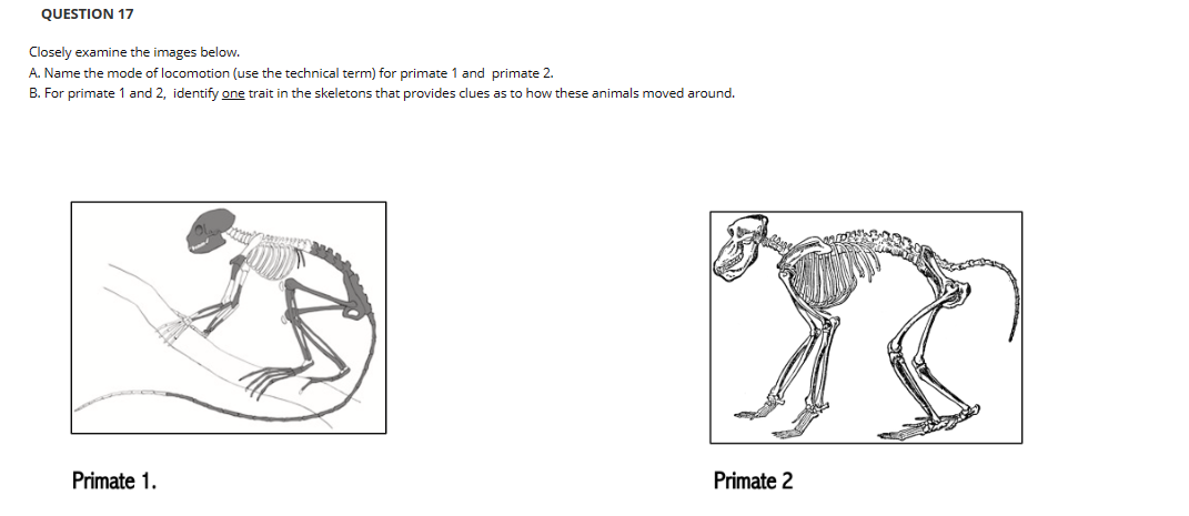 Closely examine the images below. A. Name the mode of | Chegg.com