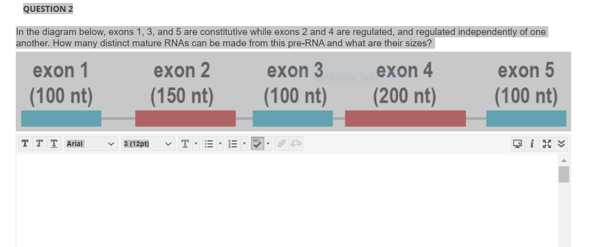 Solved QUESTION 7 Translate the following RNA sequence | Chegg.com