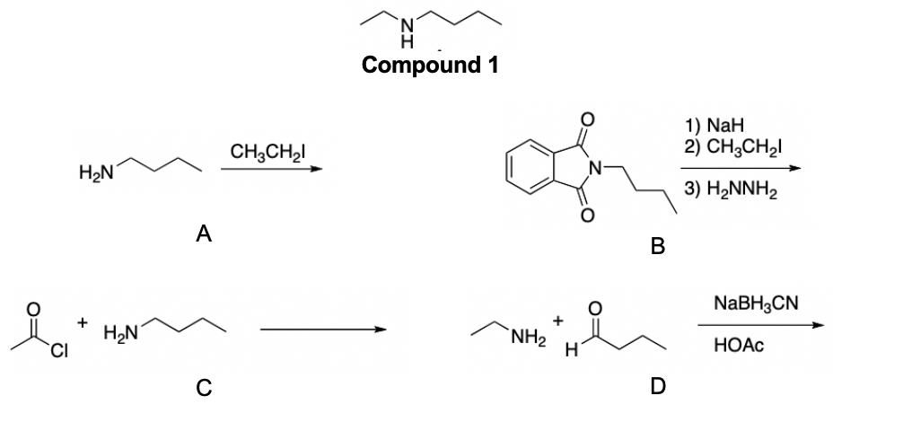 Solved Compound 1 1) NaH 2) CH2CH2 CH2CH! Hy w CHCH! H2N 3) | Chegg.com