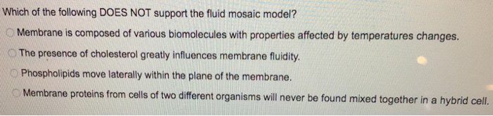 Solved Which of the following DOES NOT support the fluid | Chegg.com