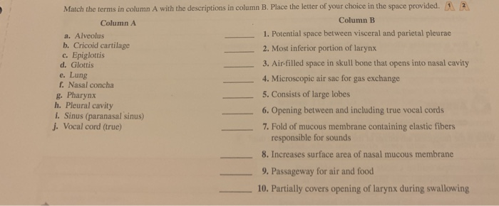 Solved Match the terms in column A with the descriptions in | Chegg.com