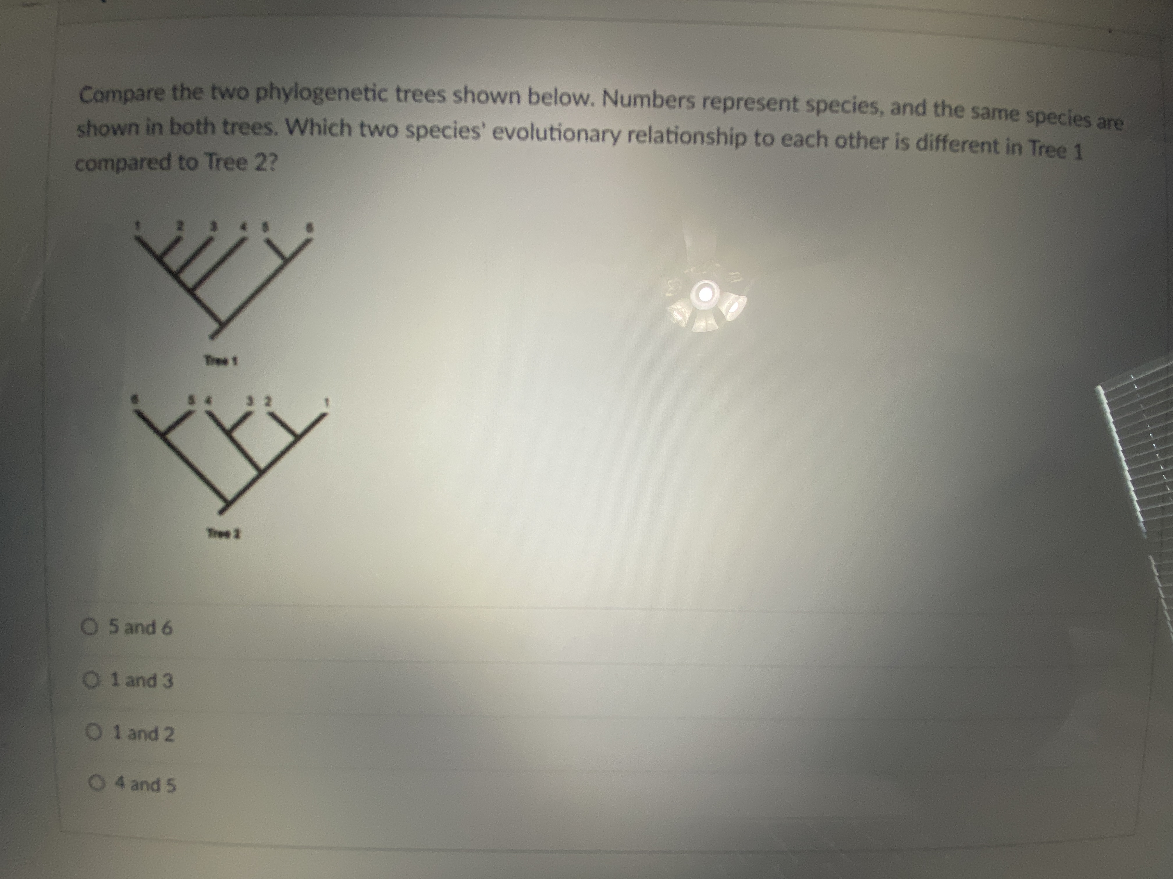 Solved Compare the two phylogenetic trees shown below. | Chegg.com