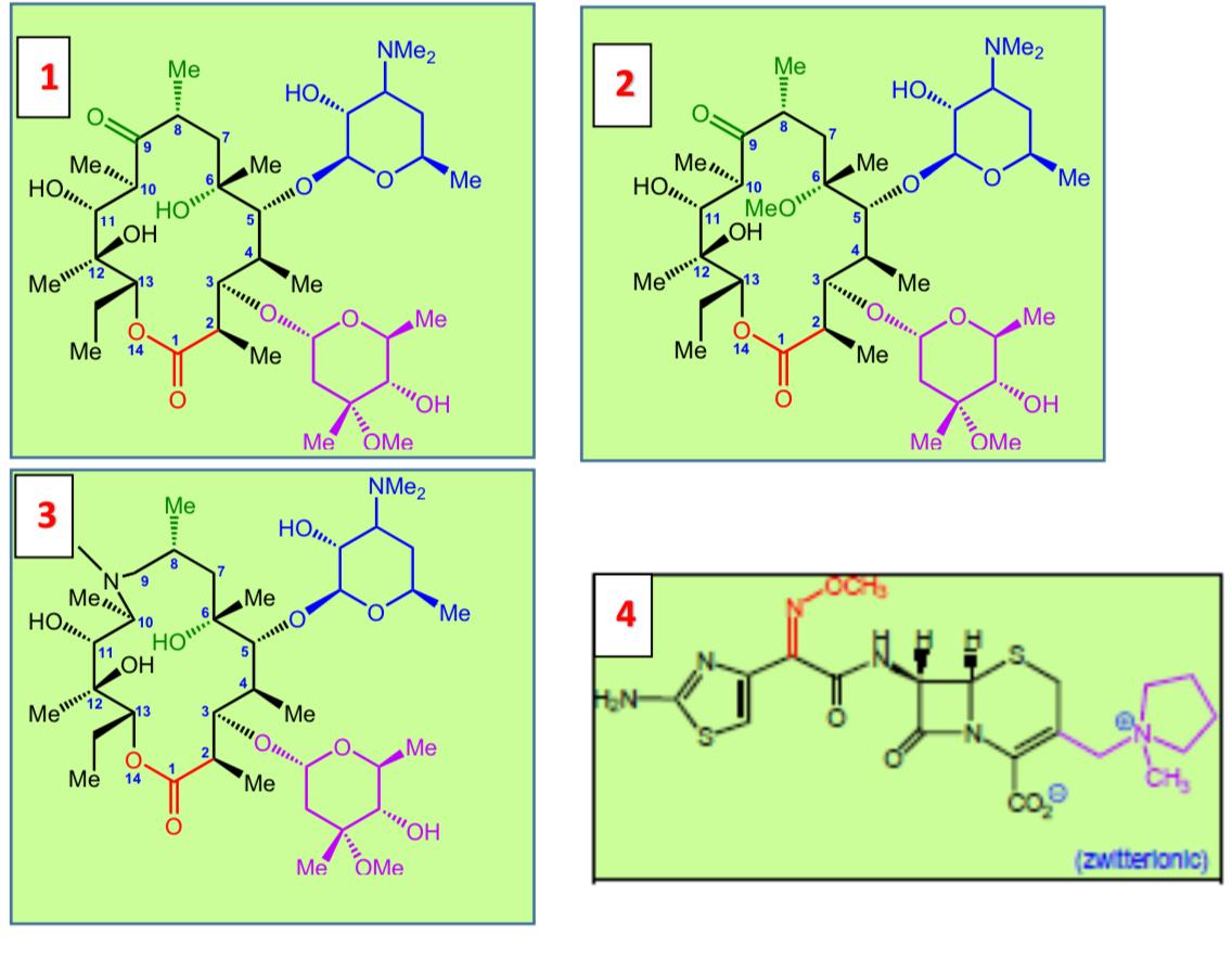 Solved TW is a 14-year-old boy diagnosed in a hospital | Chegg.com
