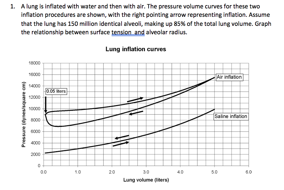 Solved A lung is inflated with water and then with air. The | Chegg.com