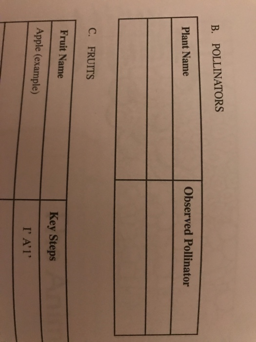 Solved B. Flower and Pollinator Most flowers attract insects | Chegg.com