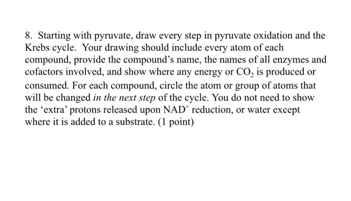 Solved 8. Starting with pyruvate, draw every step in | Chegg.com