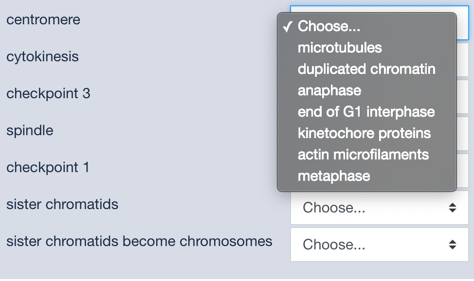 Solved centromere cytokinesis checkpoint 3 Choose... | Chegg.com