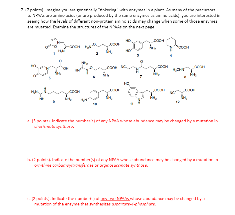 Solved 7. (7 ﻿points). ﻿Imagine you are genetically | Chegg.com