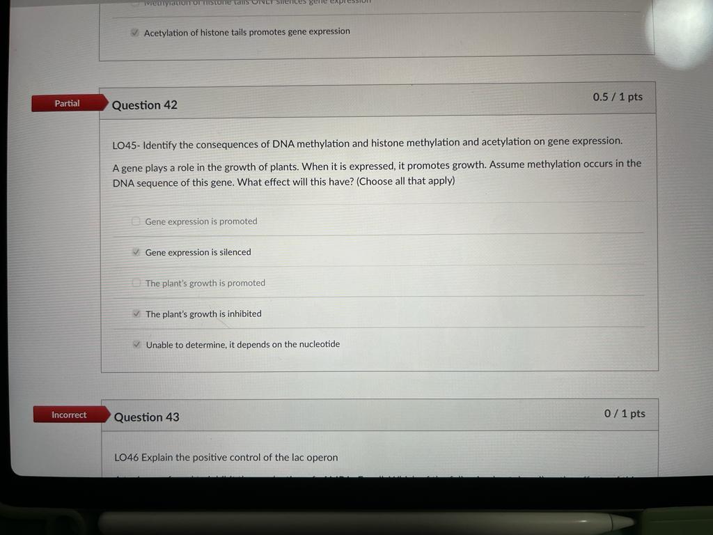 LO38 Explain the function of UTRS in the mRNA | Chegg.com