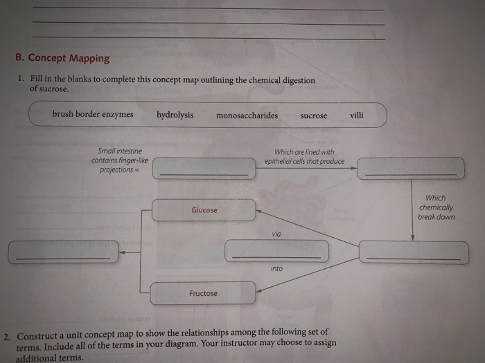 Solved B. Concept Mapping Fill in the blanks to complete | Chegg.com Solved B. Concept Mapping Fill in the blanks to complete | Chegg.com