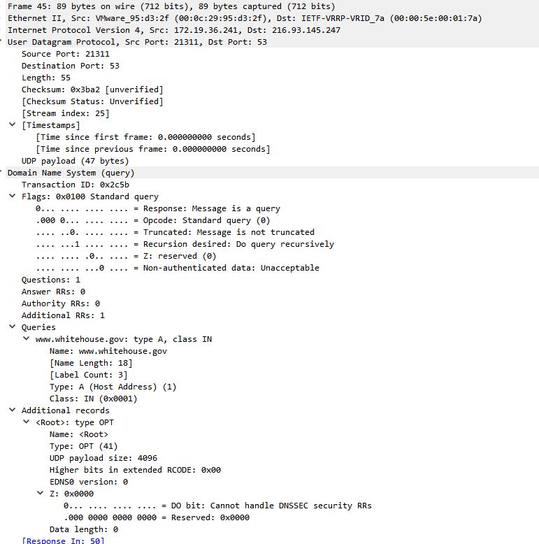 Solved In Frames 45 and 45 DNS queries are sent from | Chegg.com