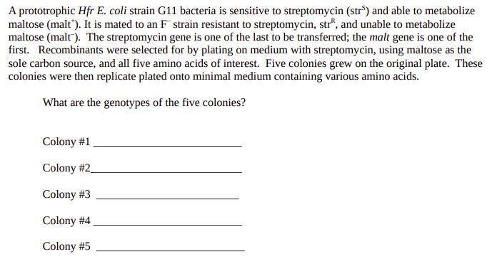 A prototrophic Hfr E. coli strain G11 bacteria is | Chegg.com