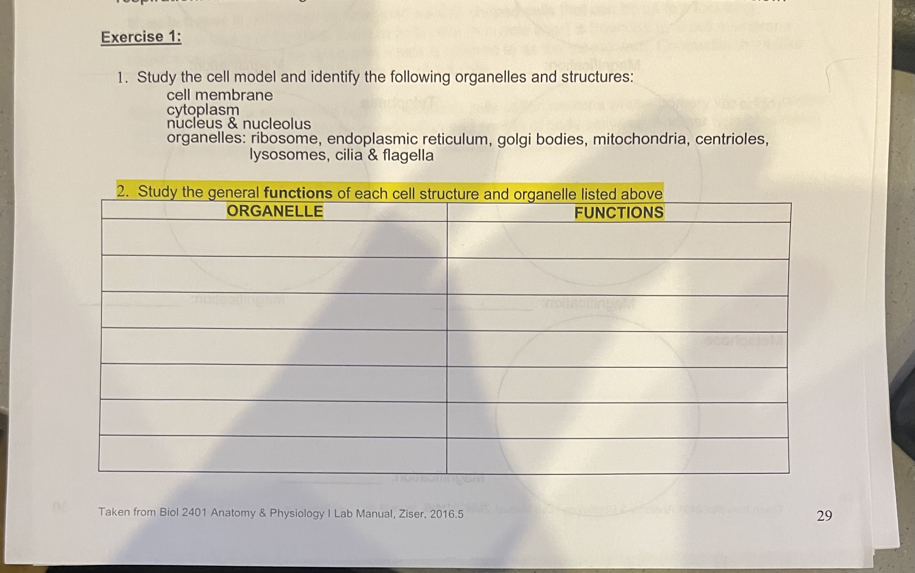 1. Study the cell model and identify the following | Chegg.com