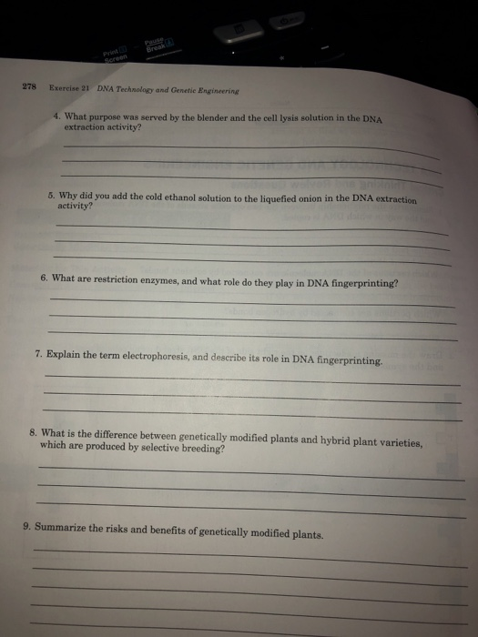 Solved prnt 278 Exercise 21 DNA Technology and Genetic | Chegg.com