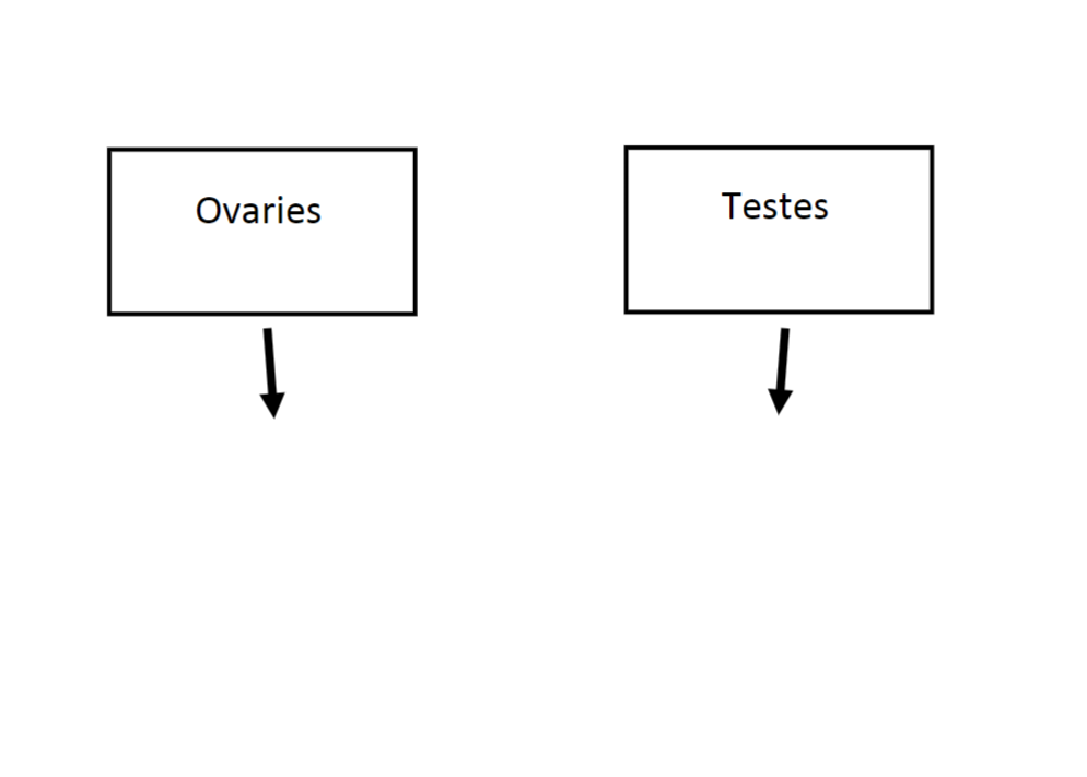 Solved The objective of this assignment is to examine the | Chegg.com