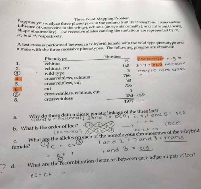 Solved Three Point Mapping Problem uppose you analyze three | Chegg.com