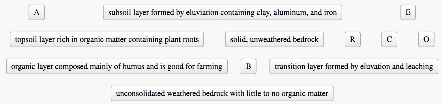 Solved A subsoil layer formed by eluviation containing clay, | Chegg.com