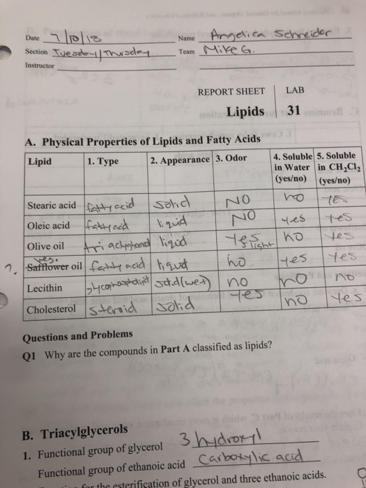 Solved Date NameHroeica Sehreider Section Tyesdo-lTrs | Chegg.com