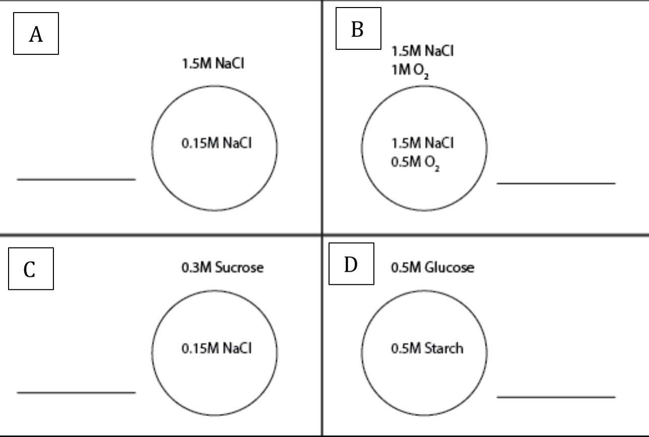 Solved A B 1.5M NACI 1.5M NaCl IMO, 0.15M NACI 1.5M Naci | Chegg.com
