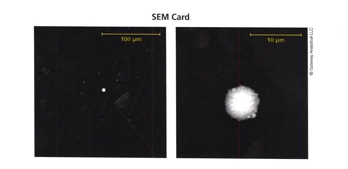 Solved SEM Data Table: Use a metric ruler to measure the | Chegg.com