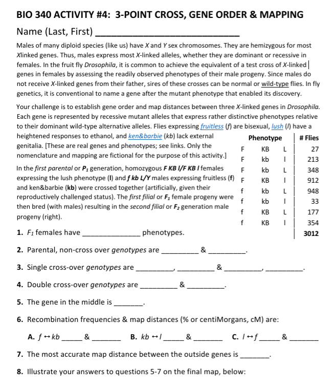 Solved BIO 340 ACTIVITY #4: 3-POINT CROSS, GENE ORDER \& | Chegg.com