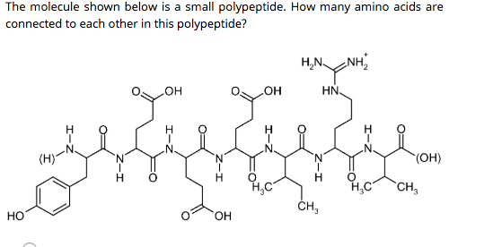 Polypeptide Molecule
