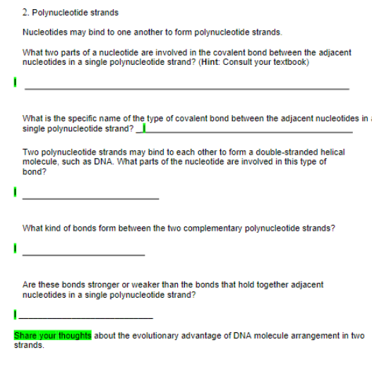 Solved 2. Polynucleotide strands Nucleotides may bind to one | Chegg.com