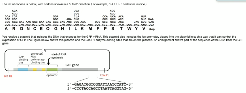 Solved The list of codons is below, with codons shown in a | Chegg.com