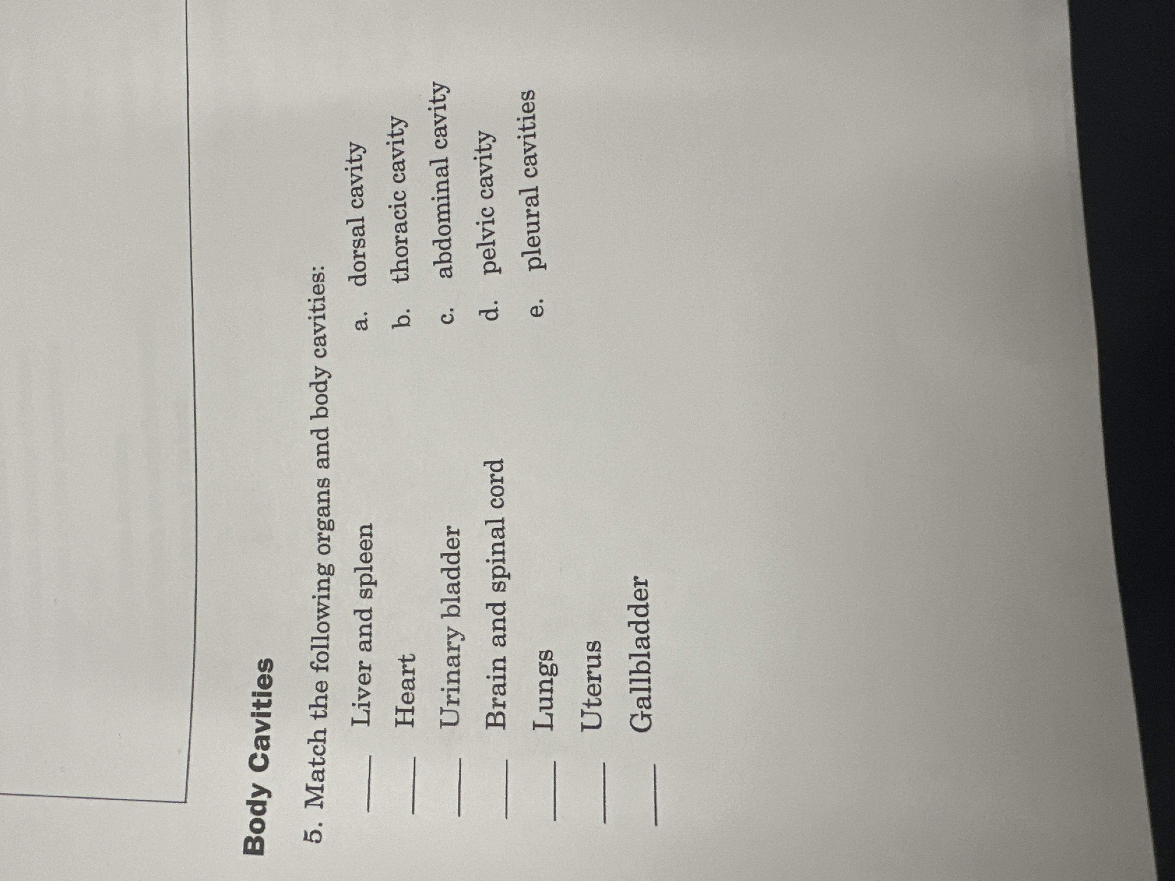 Solved Body CavitiesMatch the following organs and body | Chegg.com