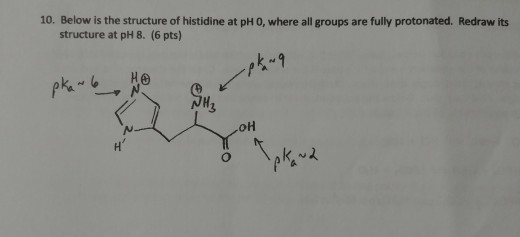 Histidine Structure At Ph 7