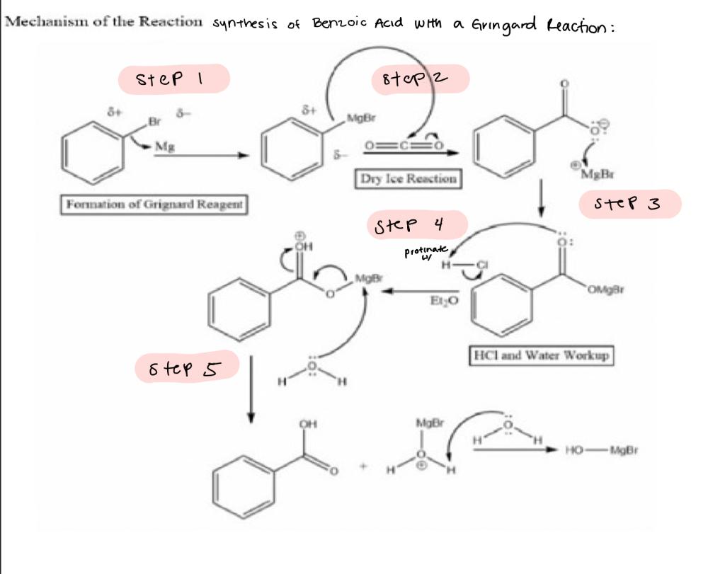 Solved preparation of benzoic acid: a grignard reaction. | Chegg.com