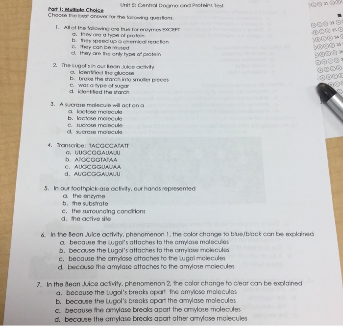Solved Unit 5: Central Dogma and Proteins Test Choose the | Chegg.com