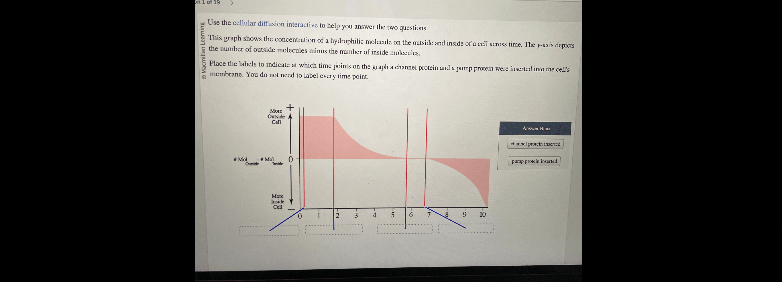 Use the cellular diffusion interactive to help you | Chegg.com