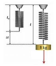 Solved A spring is stretched 175 mm by an 8 kg block. If the | Chegg.com