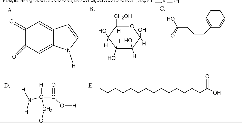 Solved Identify the following molecules as a carbohydrate, | Chegg.com