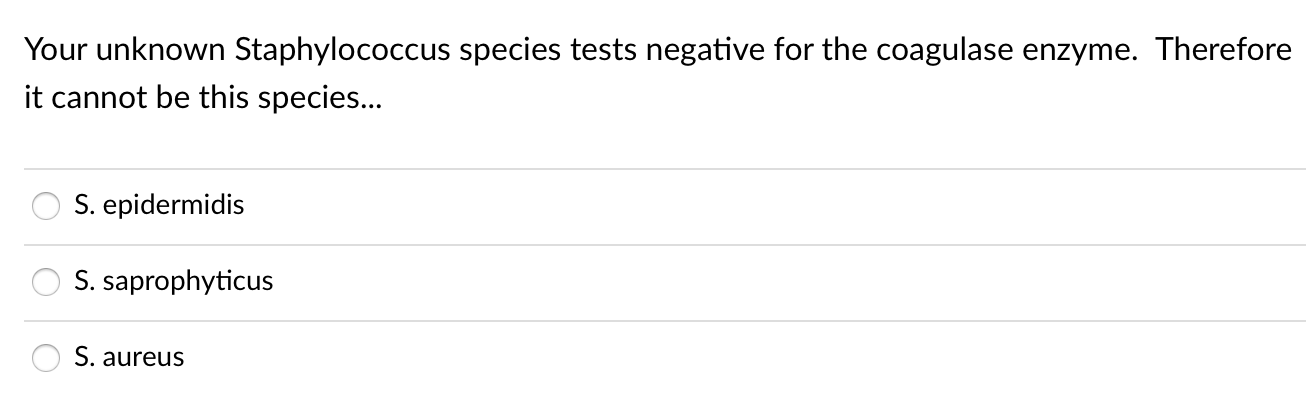 Solved Your unknown Staphylococcus species tests negative | Chegg.com