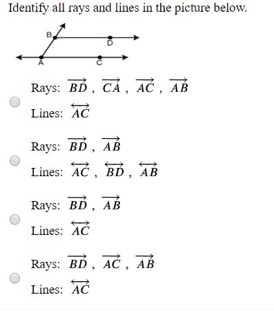 Solved Identify all rays and lines in the picture below. c | Chegg.com