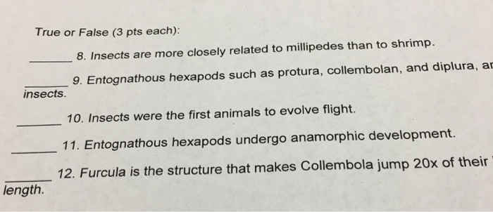 Solved ________ Insects are more closely related to | Chegg.com