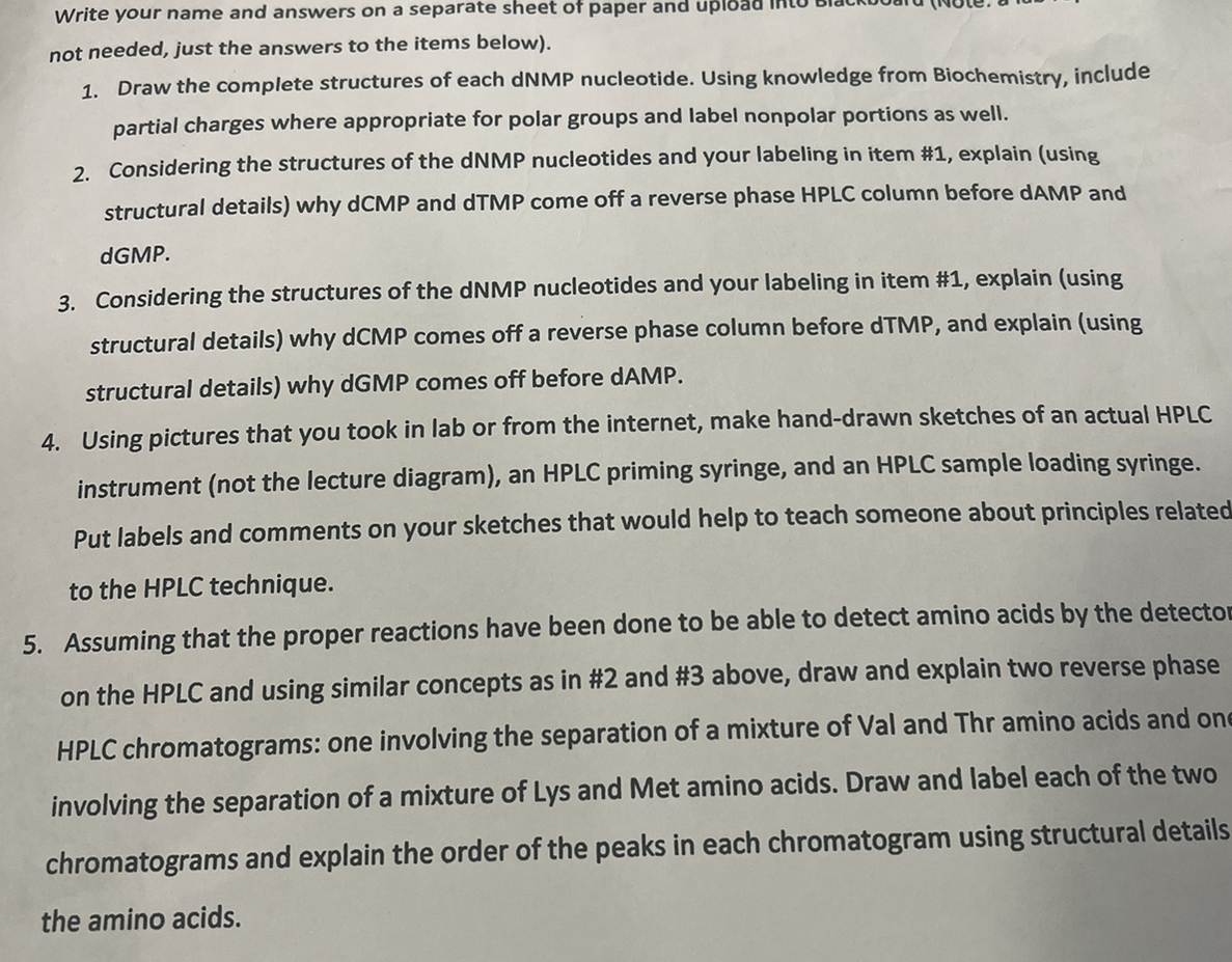 2. Considering the structures of the dNMP nucleotides | Chegg.com