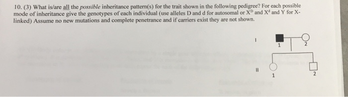 Solved 10. (3) What is/are all the possible inheritance | Chegg.com