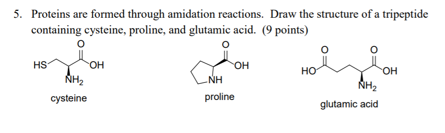 Solved 5. Proteins are formed through amidation reactions. | Chegg.com