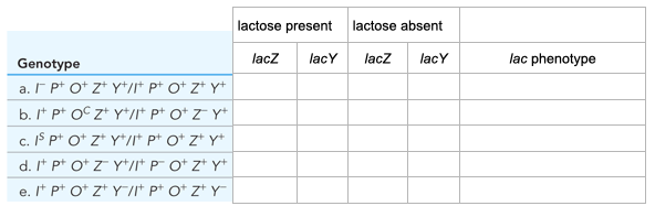 Solved \begin{tabular}{|l|c|c|c|c|c|} \cline { 2 - 6 } & | Chegg.com