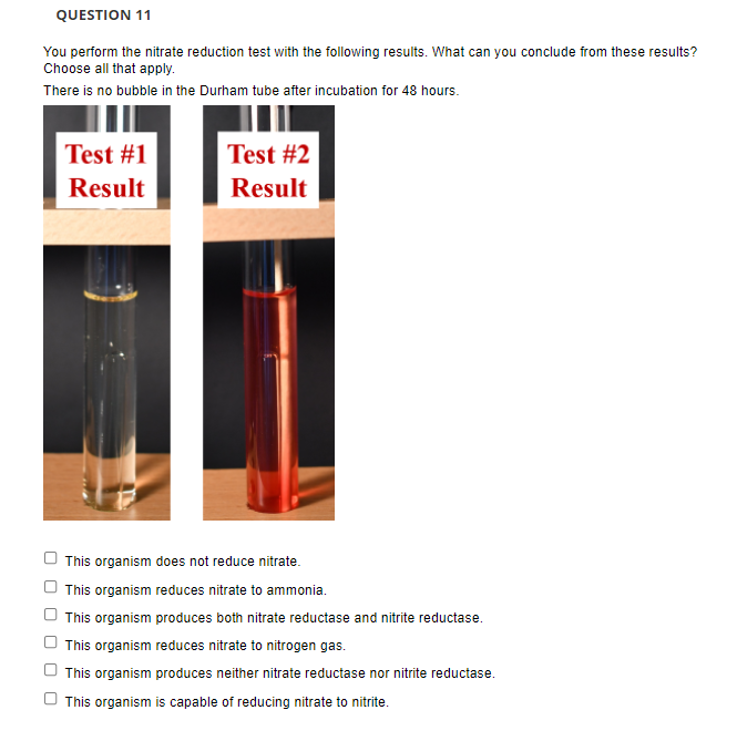 Solved QUESTION 11 You perform the nitrate reduction test | Chegg.com