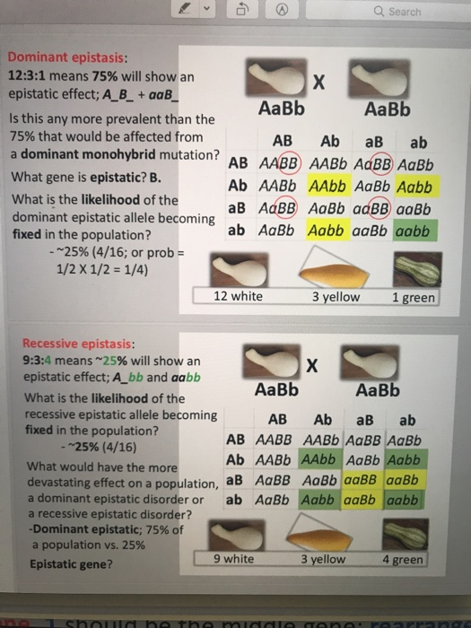 Solved Please explain how to find epistatic gene, how to | Chegg.com