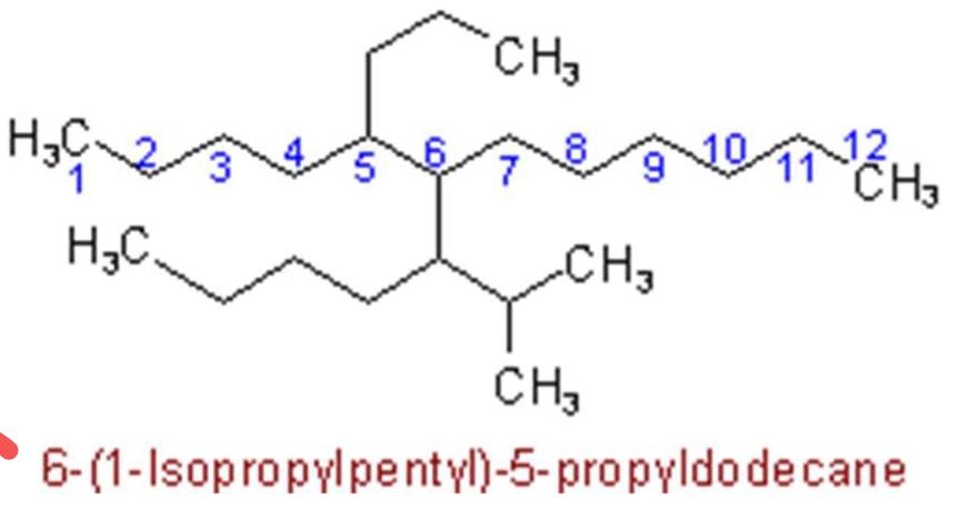 Solved There are 2 substituents: Isopropylpentyl and propyl. | Chegg.com