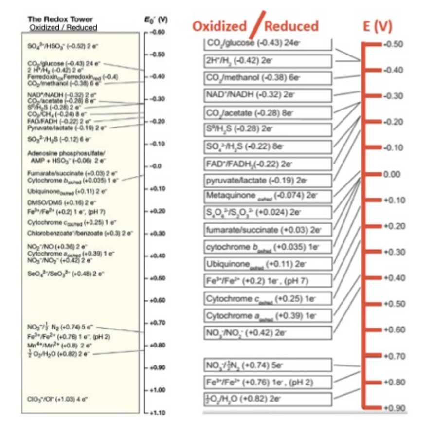 is the reduced form…… is the oxidized | Chegg.com
