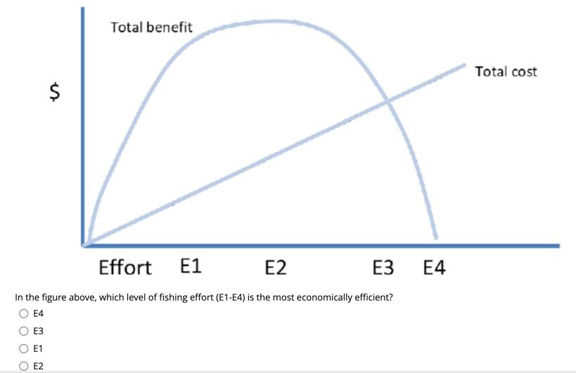 Solved Total benefit Total cost $ E4 Effort E1 E2 ЕЗ In the | Chegg.com
