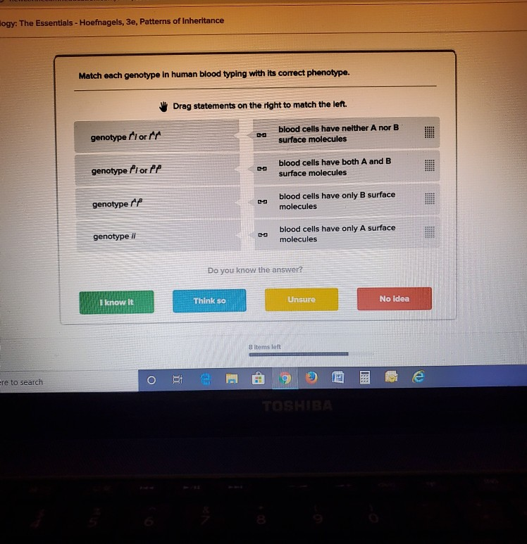 Solved match each genotype in human blood typing with its | Chegg.com