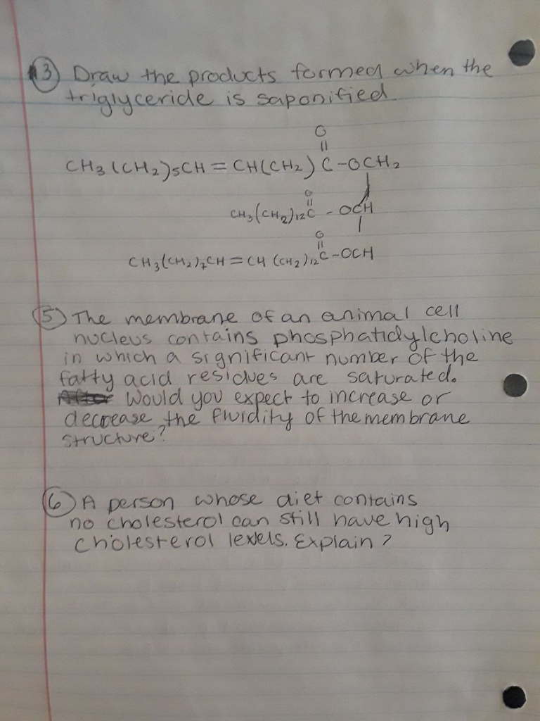 Solved the products formecl cwhen the gly cericle is | Chegg.com