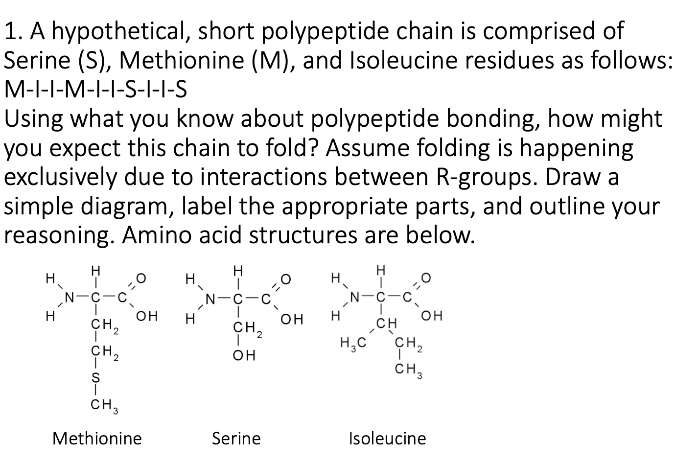 Solved 1. A hypothetical, short polypeptide chain is | Chegg.com